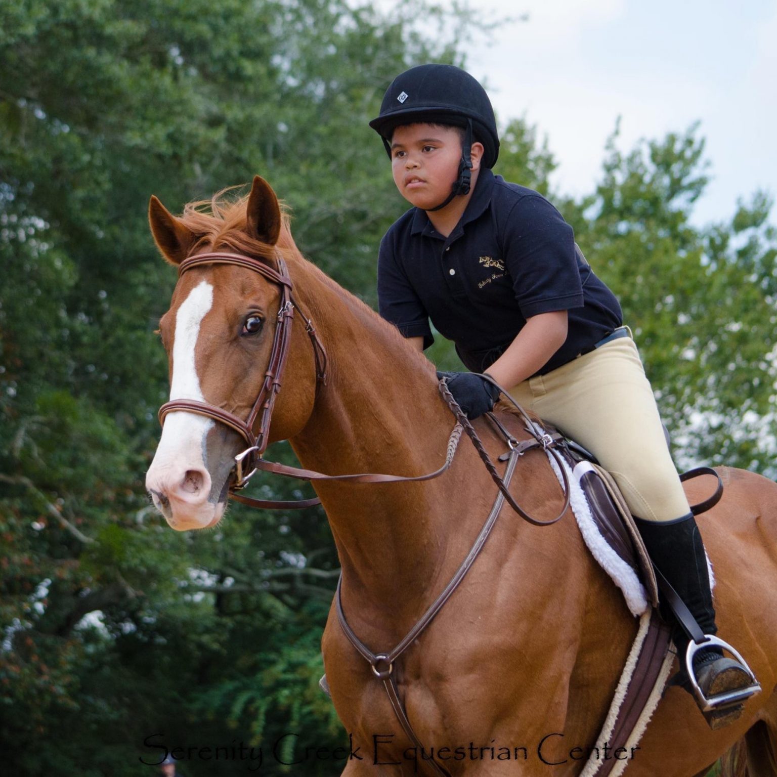 Felicity Farm - Discover Lake Lanier